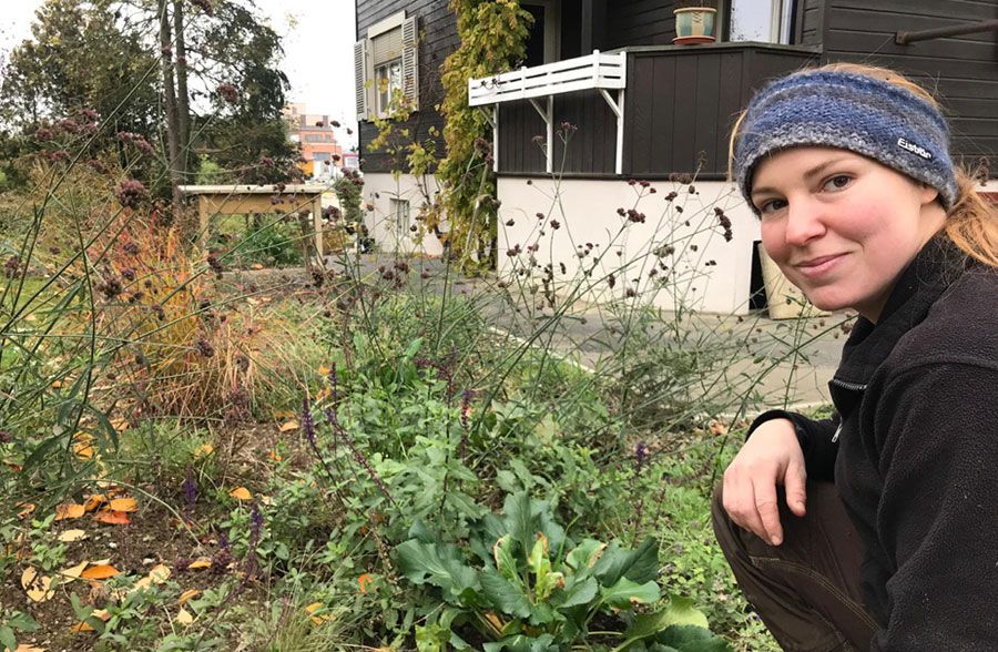 Kontakt - Phoenix-Garten - Gartenbau Muttenz